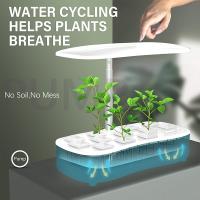 China Vegetable 12 pods home small garden hydroponics growing system daily growing 24w smart control 3.8L large volume for sale