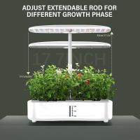 China Vegetable 12 pods home small garden hydroponics growing system daily growing 24w smart control 3.8L large volume for sale