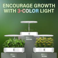China Vegetable 12 pods home small garden hydroponics growing system daily growing 24w smart control 3.8L large volume for sale
