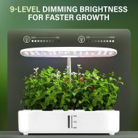 China Vegetable 12 pods home small garden hydroponics growing system daily growing 24w smart control 3.8L large volume for sale
