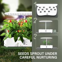 China Vegetable 12 pods home small garden hydroponics growing system daily growing 24w smart control 3.8L large volume for sale