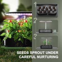 China 12 Pods Indoor Gardening System with LED Grow Light Height Adjustable Plants Germination Kit 24W Home Garden for sale