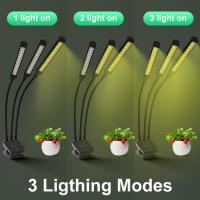 China 12W Dimmable Table Clip Phytolamp 3 Head full Spectum led table Lamp For Indoor Plants Growing 144 LEDS for sale