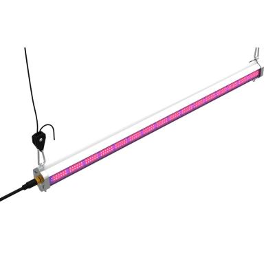 China High Efficiency Top Lighting For Indoor Greenhouse Growing Daisy Chain 240° Lighting Tomatoes Cucumbers Led Tube for sale