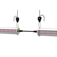 China High Efficiency Top Lighting For Indoor Greenhouse Growing Daisy Chain 240° Lighting Tomatoes Cucumbers Led Tube for sale