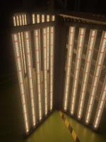 China 1000W LED Grow Light Full Spectrum PPE 2.8 Gold Heat Sink Width Board Light Bar Grow Light Commercial for sale