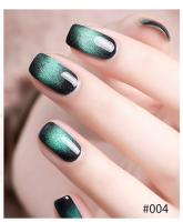 China 6 Colors 9D Cat Eye Nail Polish for sale