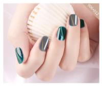 China 24 Colors Non Toxic Nail Polish , Eco Friendly Magnetic Cat Eye Gel Polish for sale