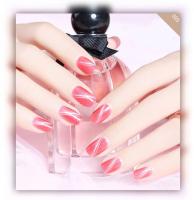 China Rose Gold Acrylic Cat Eyes Non Toxic Quick Dry Nail Polish for sale