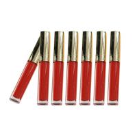 China 75 Colors Long Lasting Cosmetic Non Toxic Lip Gloss for sale