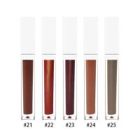 China 31 Colors Glaze Glitter Matte Makeup Lip Gloss Set for sale