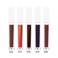 China 31 Colors Glaze Glitter Matte Makeup Lip Gloss Set for sale