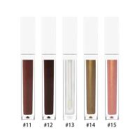 China 31 Colors Glaze Glitter Matte Makeup Lip Gloss Set for sale
