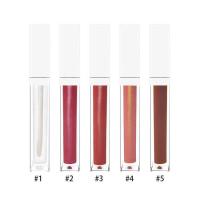 China 31 Colors Glaze Glitter Matte Makeup Lip Gloss Set for sale