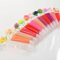 China 12 Colors Private Label Lip Gloss , Nature Clear Glitter Lip Gloss for sale
