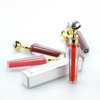 China 113 Colors Private Label Waterproof Nude Vegan Lip Gloss for sale