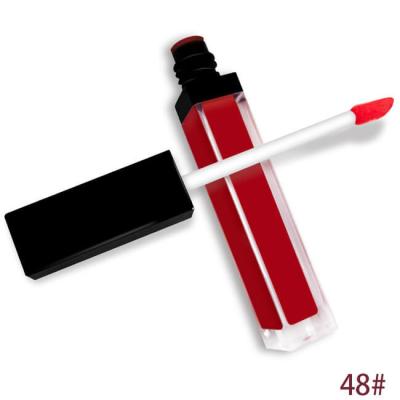 China 12 Colors High Shine Lip Gloss , Private Label Glitter Lip Gloss for sale