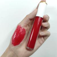 China Makeup 25 Colors Waterproof Private Label Lip Gloss for sale