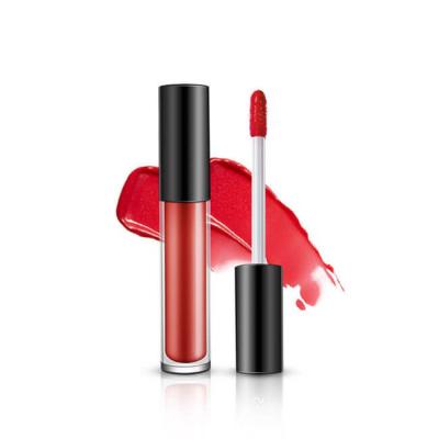 China Gift Waterproof 15 Colors Nude Matte Lip Gloss for sale