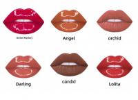 China Waterproof Vegan Plumping Private Label Lip Gloss With No Label for sale