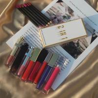 China Private Label Waterproof Matte 2 In 1 Lip Gloss for sale