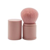 China Silicone Pink Makeup Brush Set , Professional Makeup Brush Set for sale