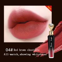 China Private Label 4 Colors Waterproof Matte Nude Lipgloss for sale