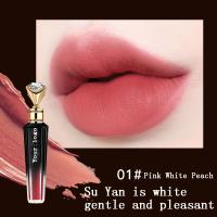 China Private Label 4 Colors Waterproof Matte Nude Lipgloss for sale