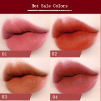 China SGS Shining Diamond Moisturizing Nude Lip Gloss for sale