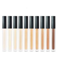 China 10ml Oil Free Vegan Waterproof Makeup Liquid Foundation for sale
