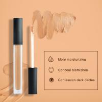 China 10ml Oil Free Vegan Waterproof Makeup Liquid Foundation for sale