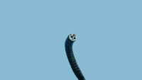 China FUJINON EC-590ZP Colonoscope 11.7mm OD 1330mm WL 1630mm TL 180 Degree Angulation for sale