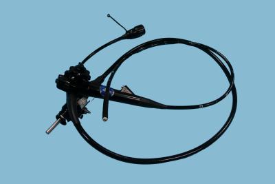 China EG-590ZW Medical Gastroscope with 135x Magnification for Upper GI Tract Diagnosis and Veterinary Use for sale