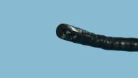 China Fujinon WG-88HR High Definition Flexible Gastroscope Compatible with W-88A Processor for sale