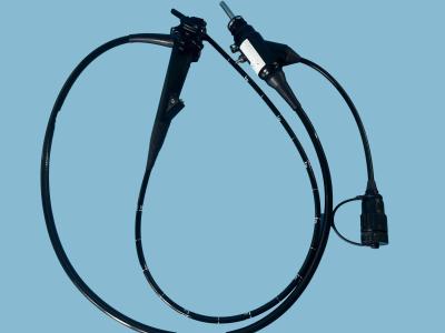 China EG-590WR Flexible Gastroscope with 9.3mm Diameter and 140° Field of View for Medical Endoscopy Procedures for sale