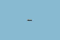 China Shaft Core One for Gastroscope Colonoscopy Spare Parts 2.2x6.4mm H59 Copper for sale