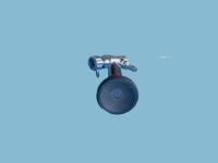 China WOLF 8705.402 Rigid Ureteroscopy with 10° Field of View and 425mm Working Length for Urological Procedures for sale