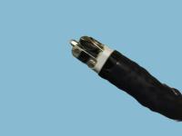 China Olympus TJF-160R Video Duodenoscope 4.2mm Channel 124cm Working Length for sale