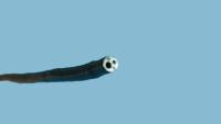 China BF-1T200 Flexible Bronchoscope with 5.9mm Diameter and 550mm Working Length for CV240 CV200 Systems for sale