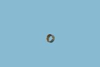 China K-tube Valve Body Inlet Nut Inner Ring for sale