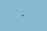 China Stainless Steel Screw 3 for Colonoscopy 1.98x8.0x0.1mm Compatible 150-290 Series for sale
