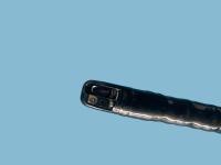 China Olympus TJF-200 Duodenoscope 12.5mm Slim Insertion Tube 4.2mm Working Channel Wide View Angle for sale