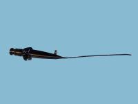 China ENF-GP2 Rhino-Laryngoscope Flexible Endoscope 85° Field of View 4mm OD for sale