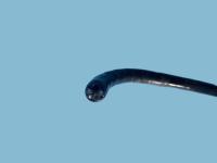 China GIF-Q260 Video Flexible Gastroscope 140 Degree Field of View 9.2mm Diameter Medical Endoscope for sale