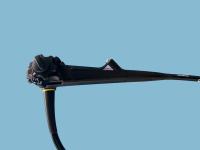 China Olympus TJF-160VF Video Duodenoscope 11.3mm 124cm Working Length 100 Degree Field of View for sale