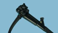China GIF-V70 Veterinary Gastroscope 9.2mm Diameter 1030mm Working Length Compatible with CV70 for sale