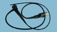 China GIF-V70 Veterinary Gastroscope 9.2mm Diameter 1030mm Working Length Compatible with CV70 for sale