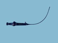 China ENF-GP Rhino-Laryngo Fiberscope 3.6mm 30cm Working Length 85 Degree Field of View for sale