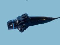China Olympus ENF-V2 Flexible Video Rhinolaryngoscope 3.2mm Outer Diameter 300cm Working Length for sale