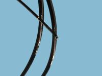 China Olympus ENF-P4 Video Rhino-Laryngoscope Flexible 3.6mm 300mm Working Length for sale